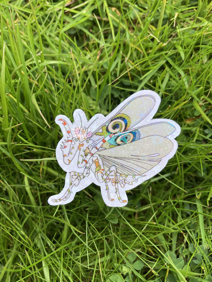 Spiny Flower praying mantis sticker (Small) – Mantis Marvels
