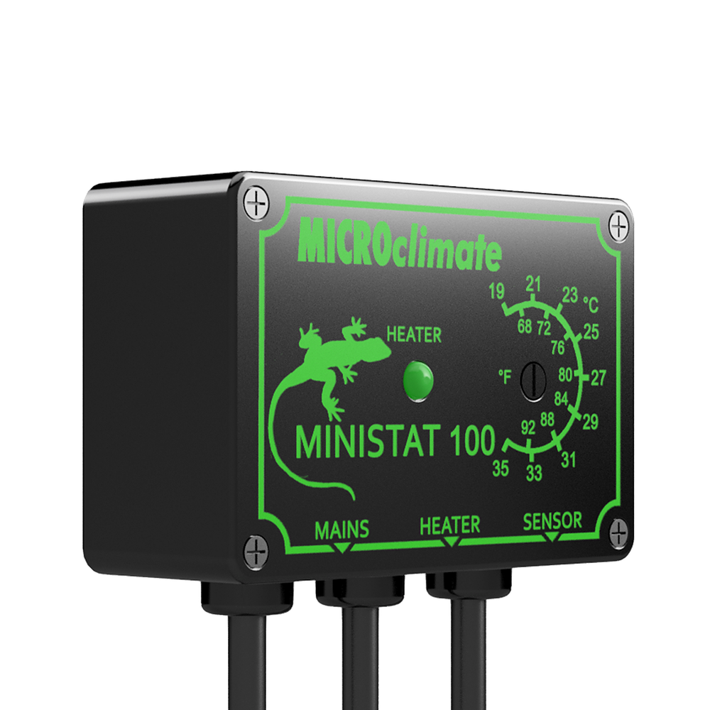 Microclimate Ministat 100 Thermostat – Mantis Marvels